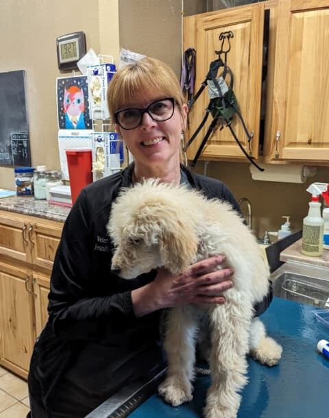 Veterinarian In Falcon CO 80831 | For Paws Veterinary Clinic